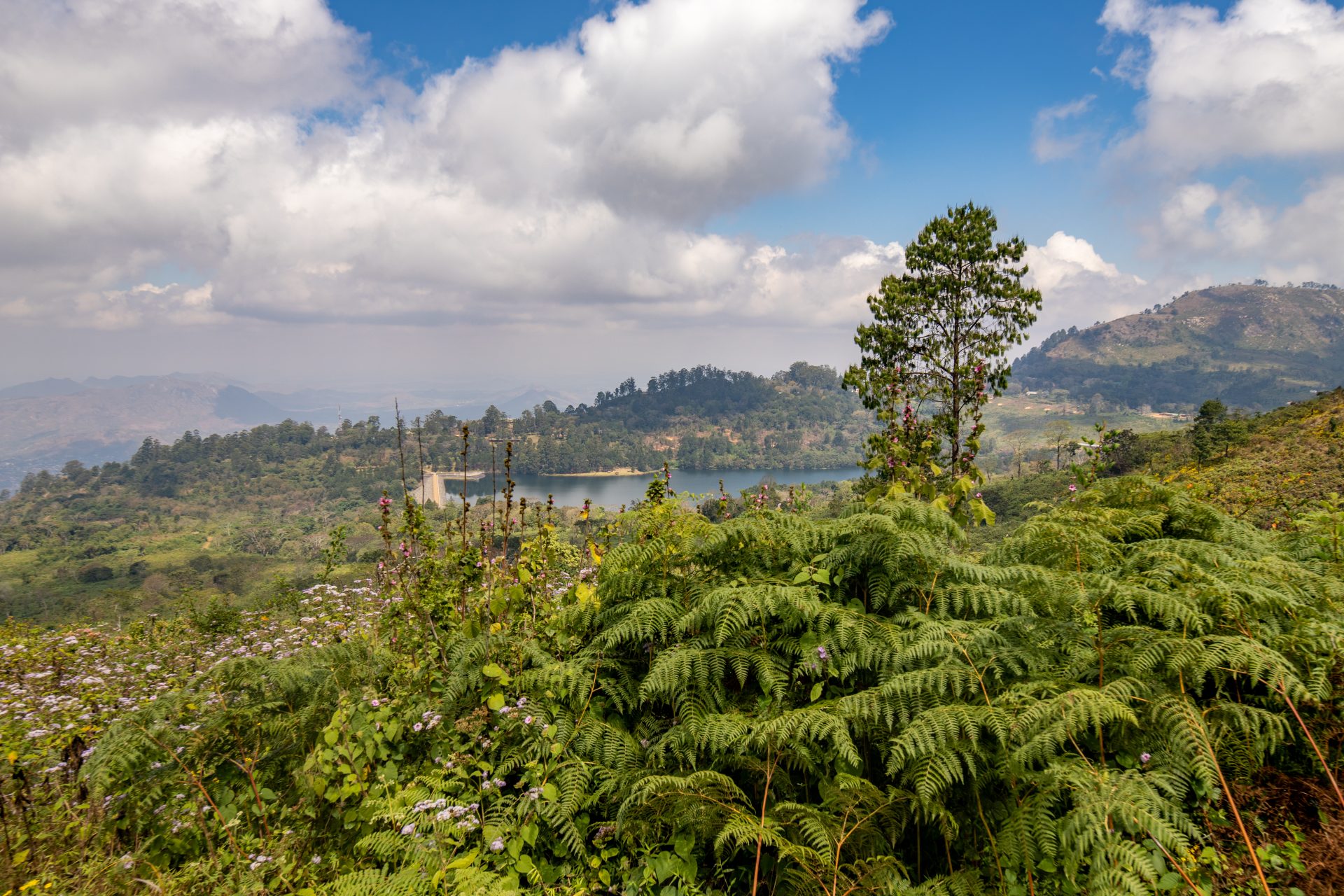 Malawi: Zomba Plateau - Hoblets On The Go