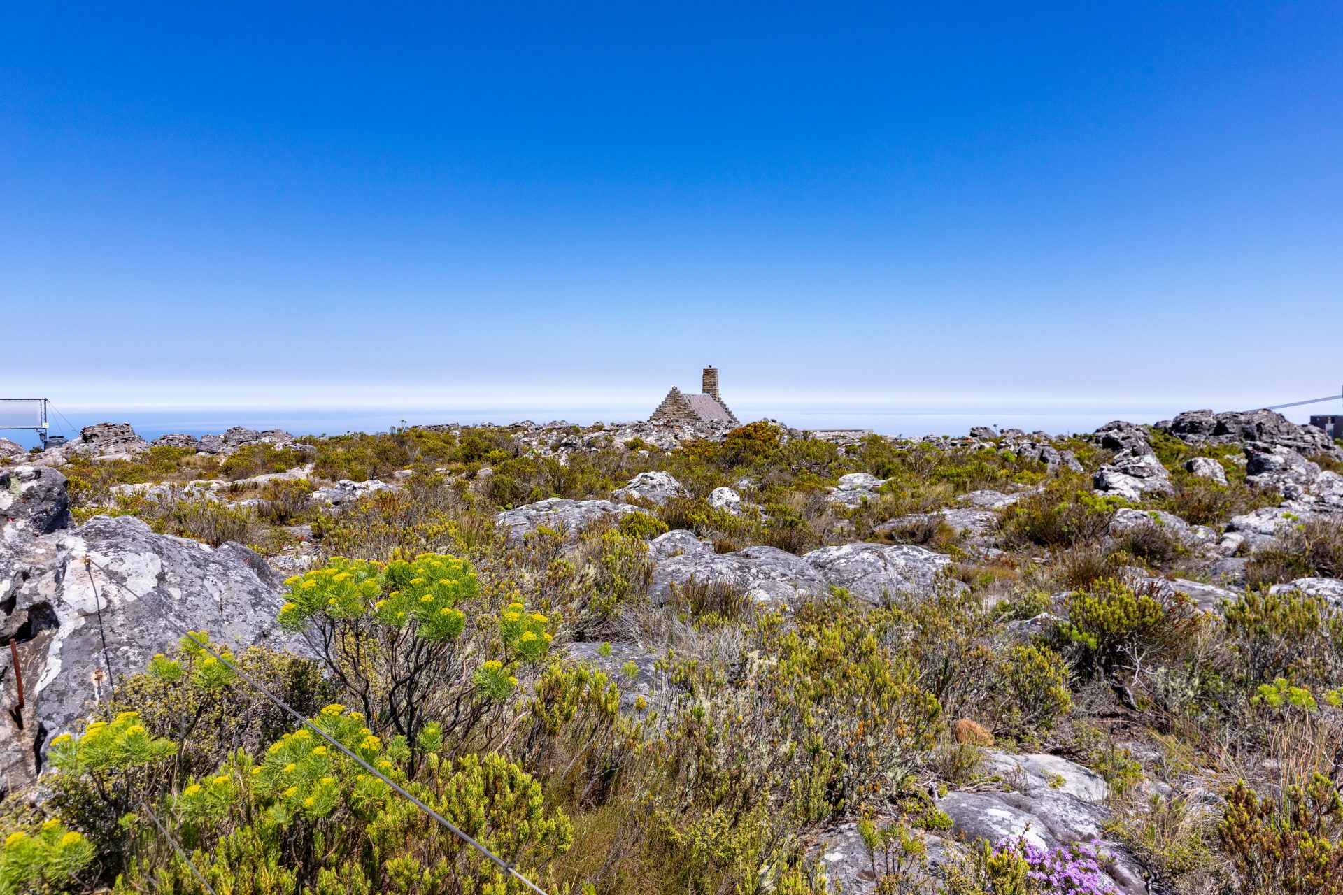 South Africa: The Cape Floral Region - Hoblets On The Go
