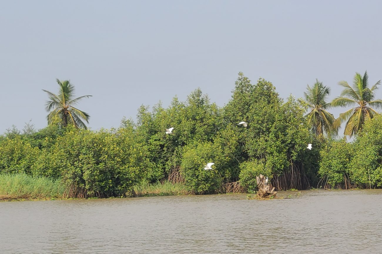 Benin: Grand Popo - Mono River Delta - Hoblets On The Go